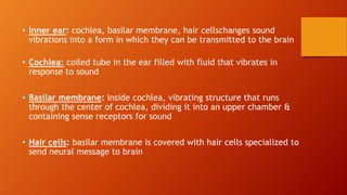 AUDITION and its components and sensory organs.pptx
