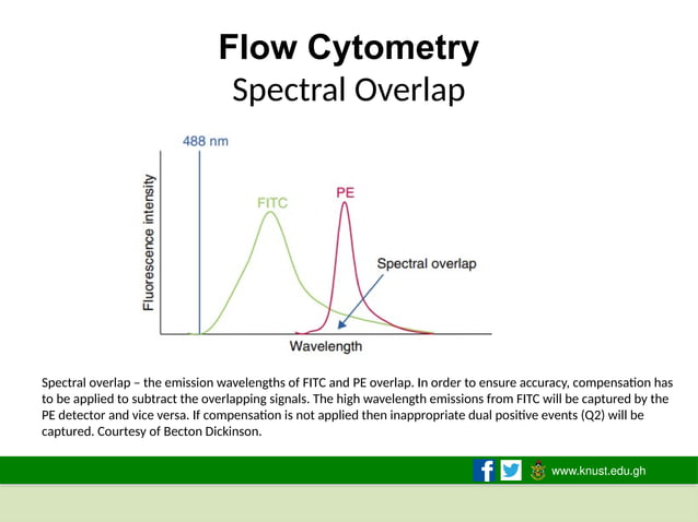 Week 8_Immunodiagnostics_Flow cytometry.pptx