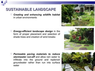 Week 8 landscape architecture | PPT