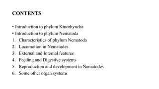Phylum nematoda & phylum kinorhyncha | PPTX