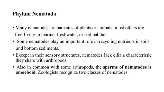 Phylum nematoda & phylum kinorhyncha