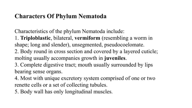 Phylum nematoda & phylum kinorhyncha