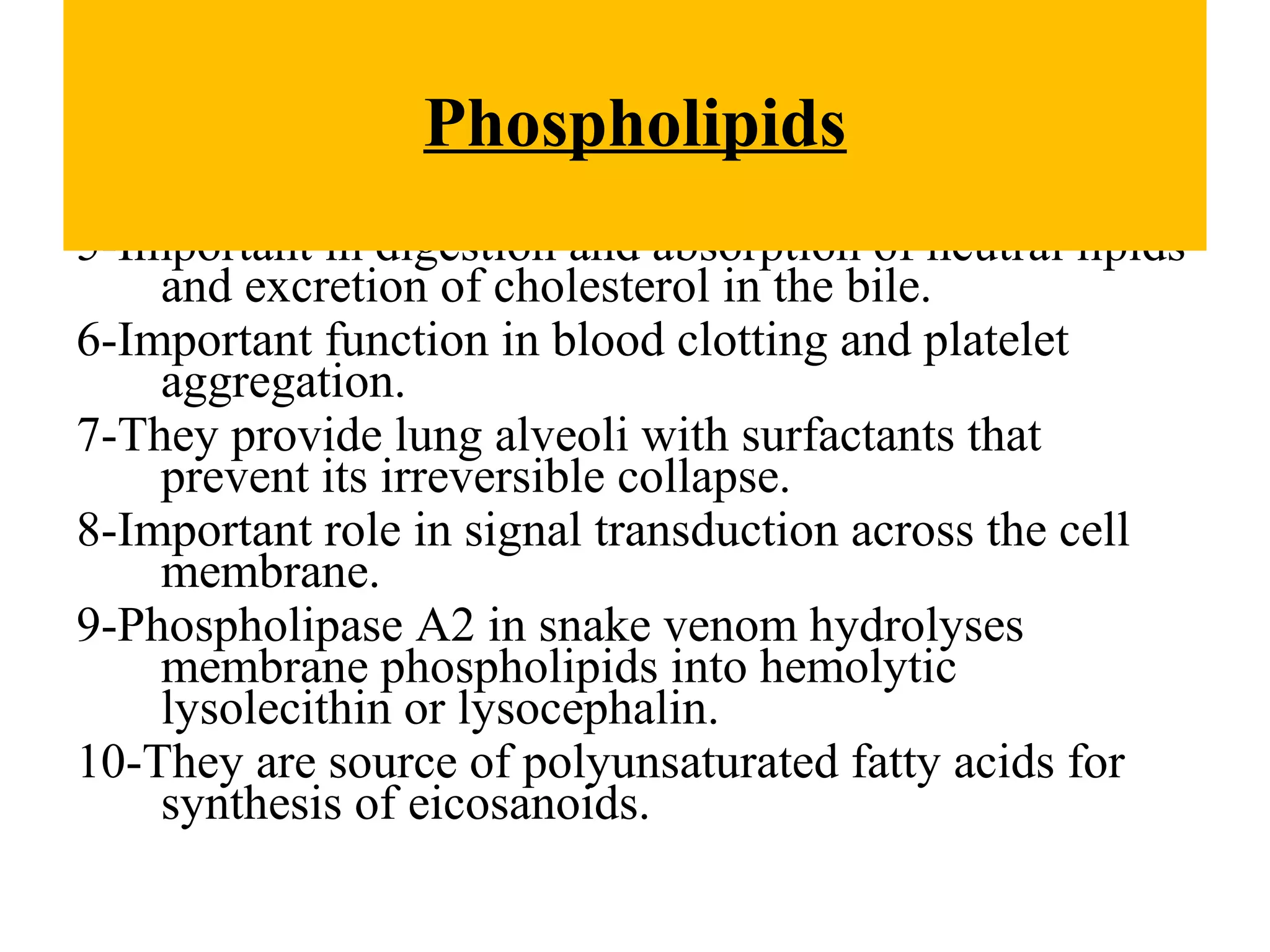 lipid clinical importance sdk 2013 | PPT