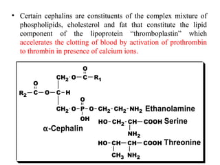 lipid clinical importance sdk 2013 | PPT