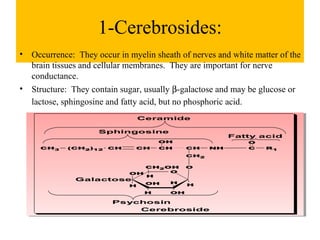 lipid clinical importance sdk 2013 | PPT