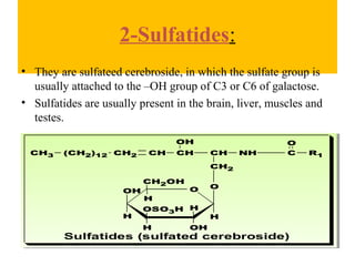 lipid clinical importance sdk 2013 | PPT