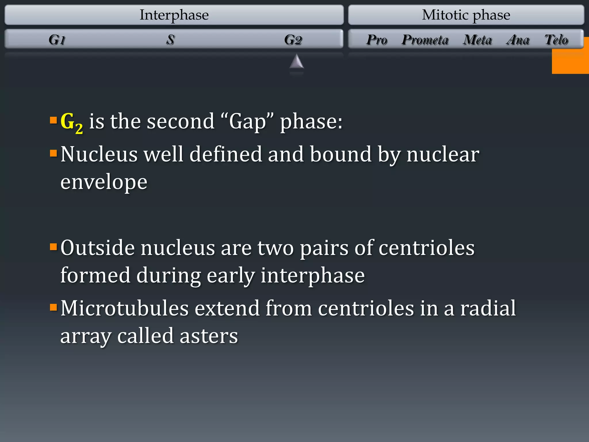 molecular mechanisms in cell division | PPTX