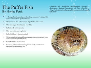 Week 8 sea_creatures_presentation | PPT