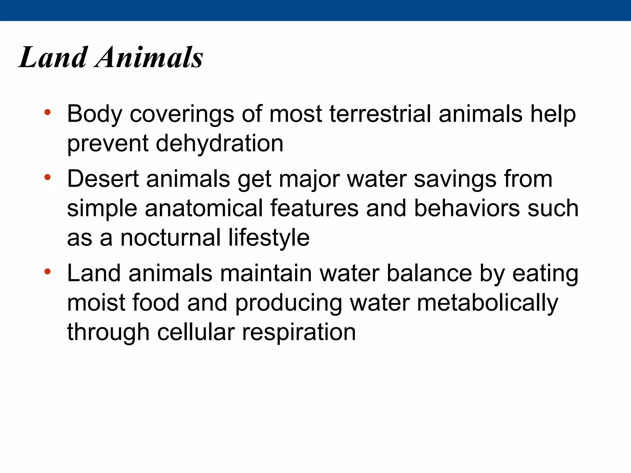 Osmoregulation | PPT