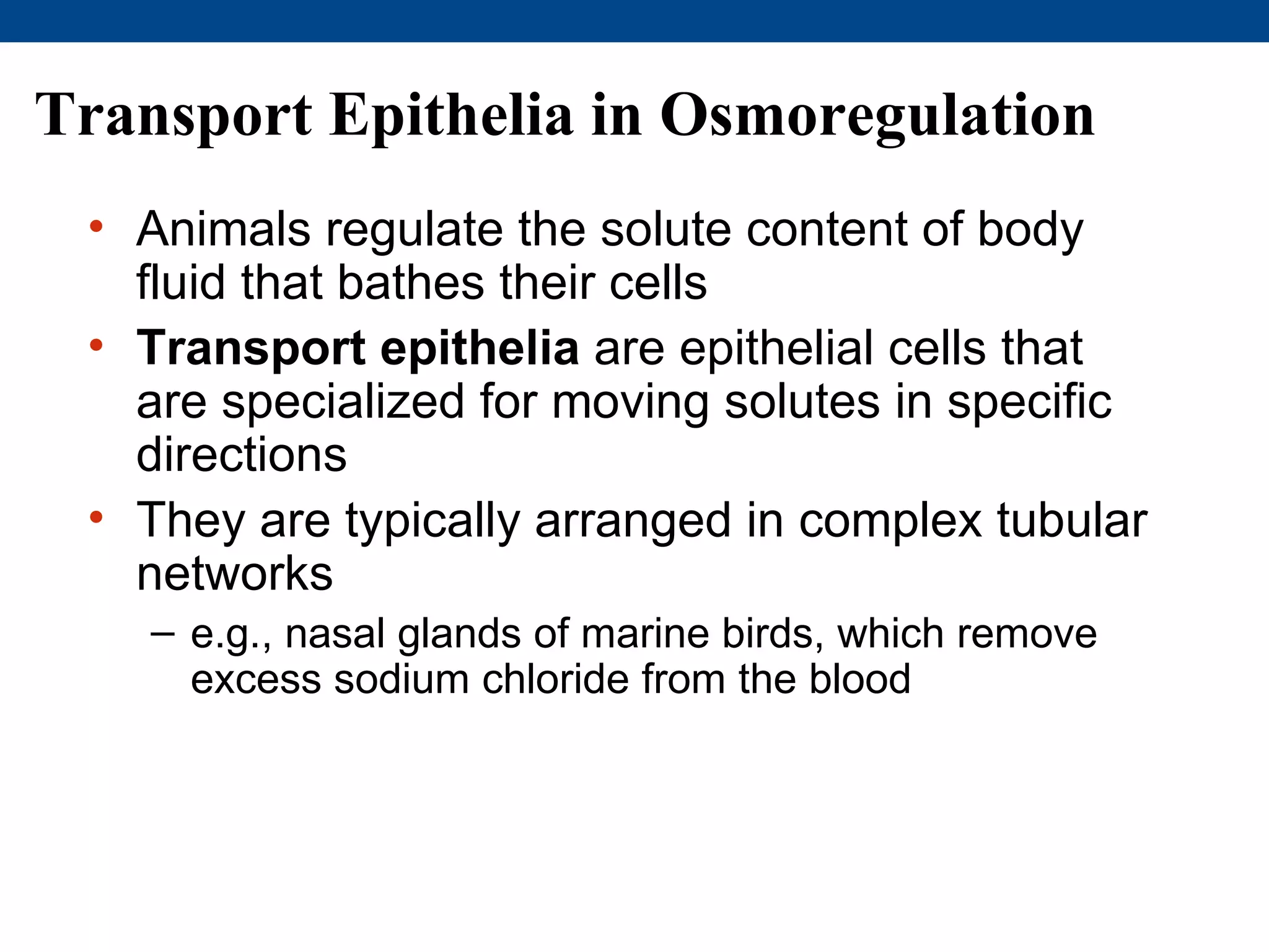 Osmoregulation | PPT