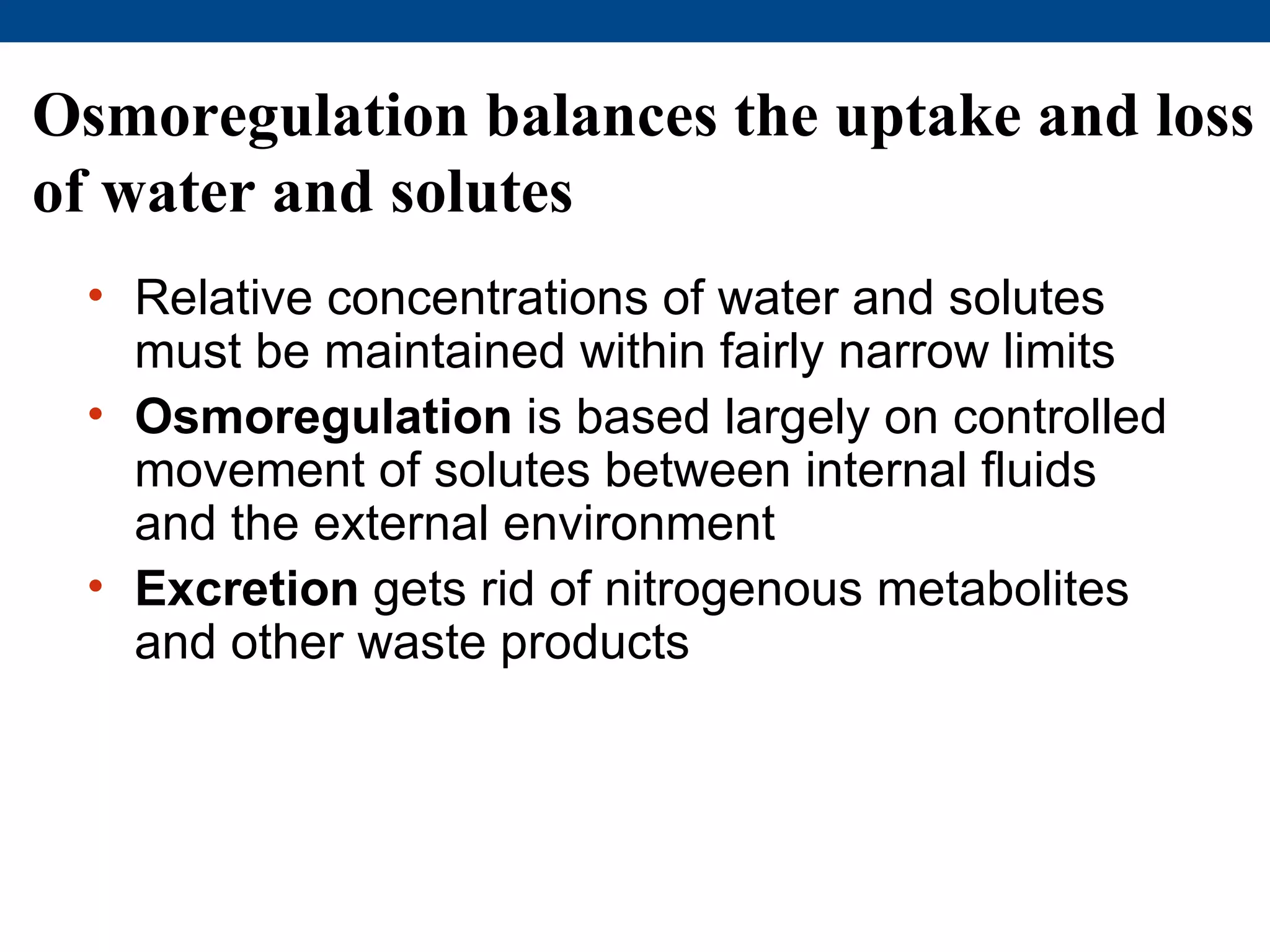 Osmoregulation | PPT