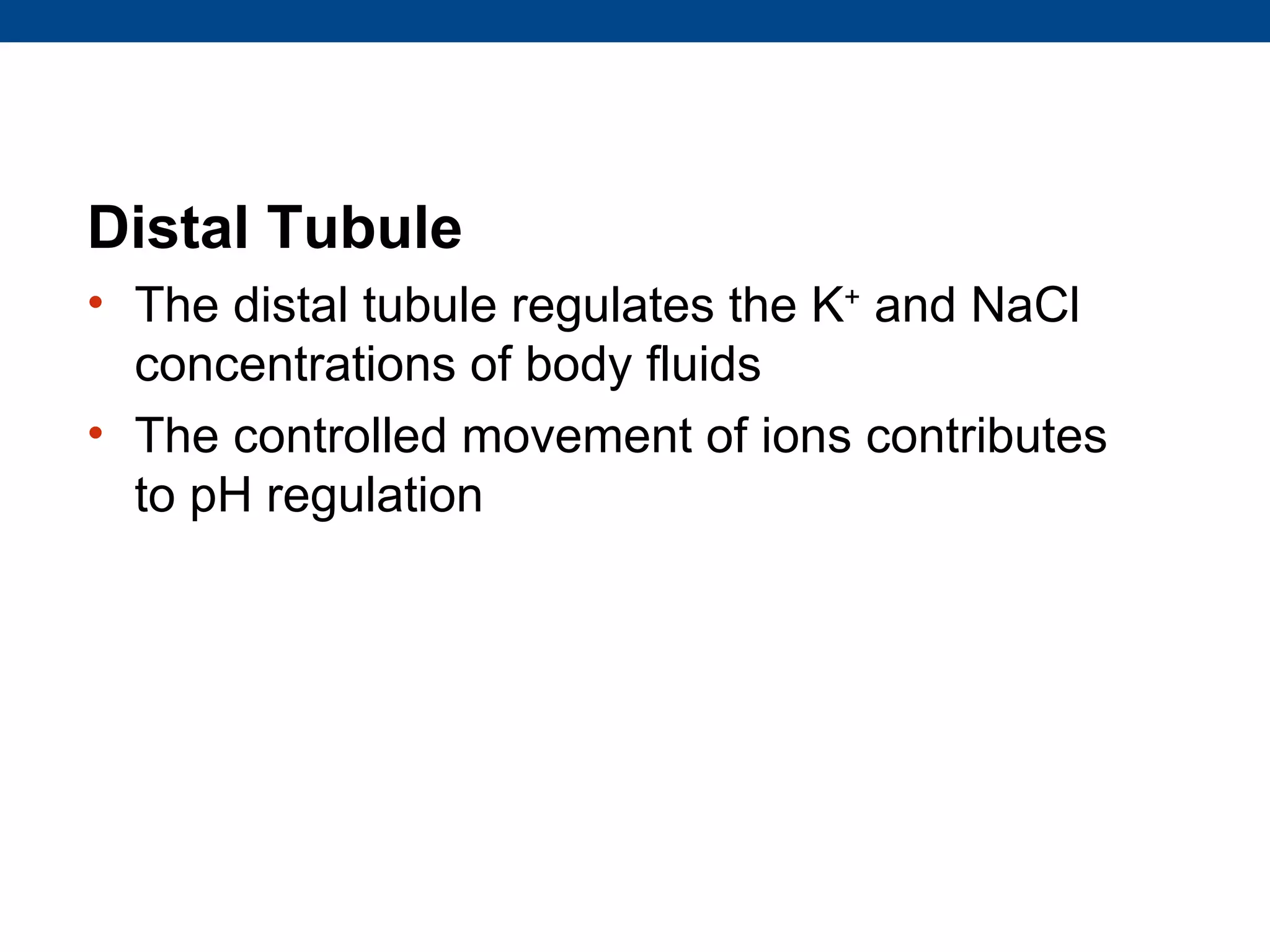Osmoregulation | PPT
