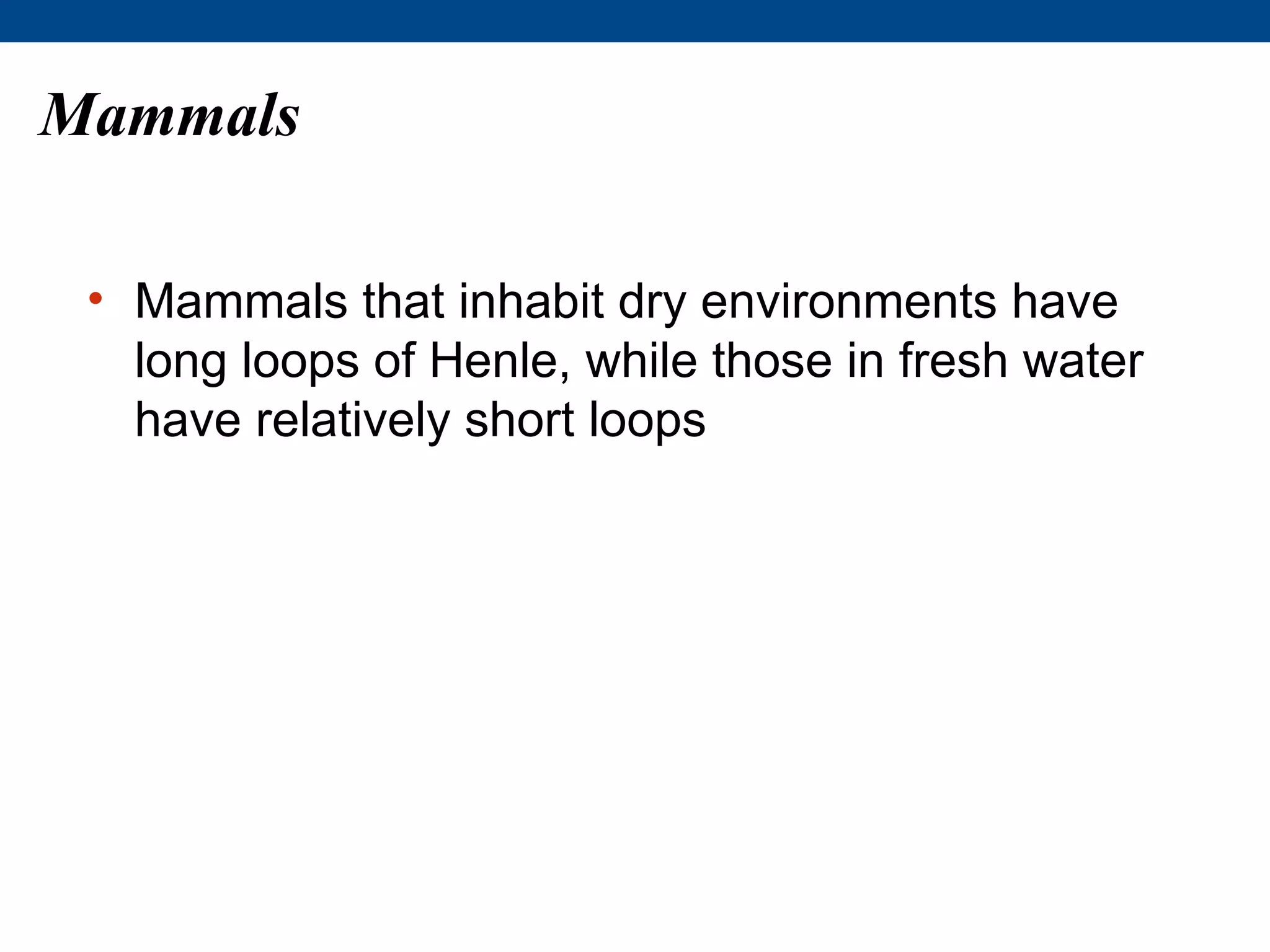 Osmoregulation | PPT