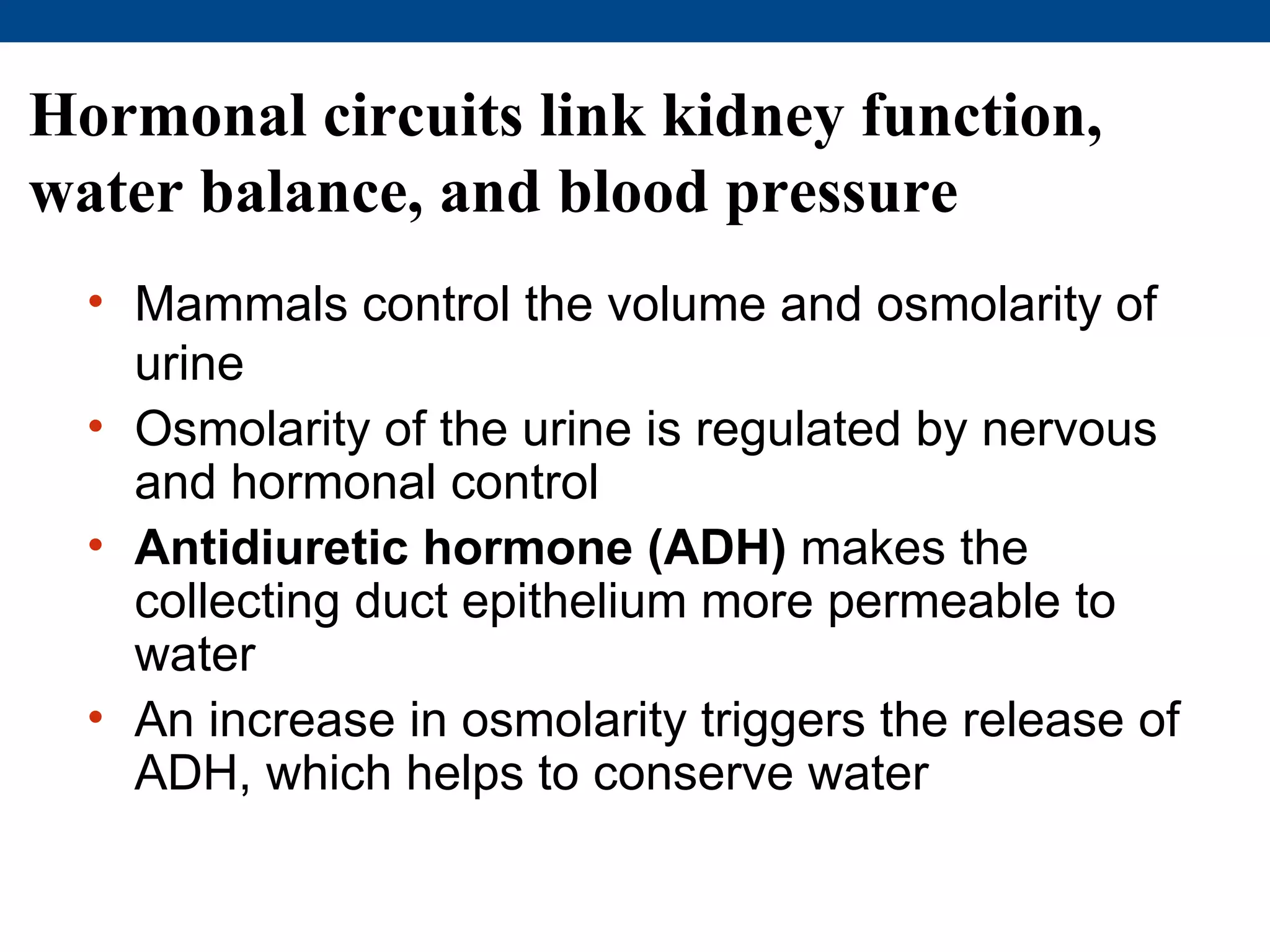 Osmoregulation | PPT