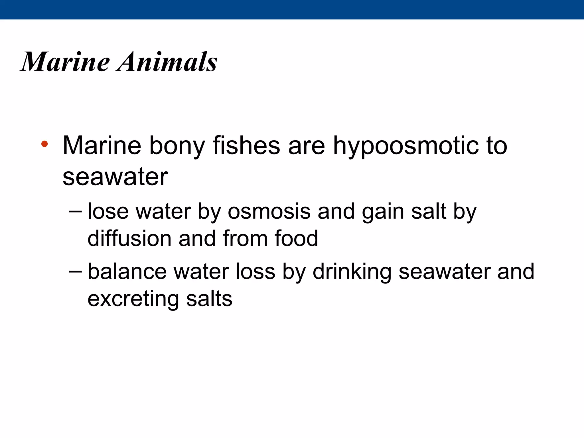Osmoregulation | PPT