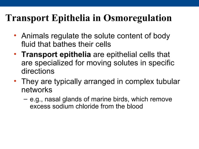 Osmoregulation | PPT
