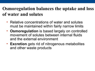 Osmoregulation | PPT