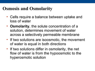 Osmoregulation | PPT