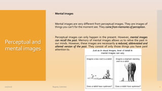 Making visual meanings | PPTX