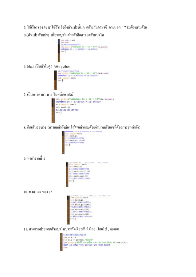Introduce Python | PDF