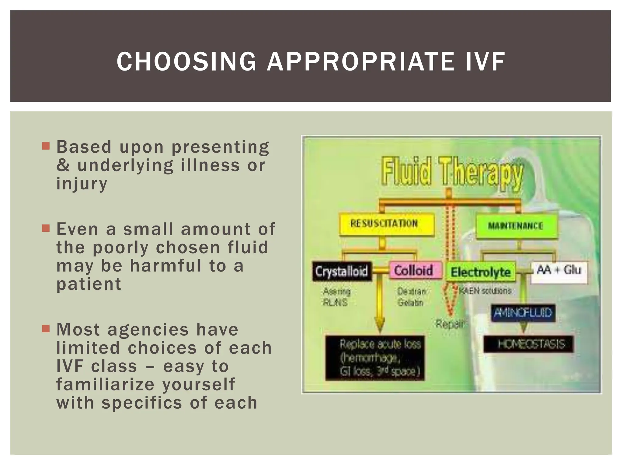 Intravenous Fluids And Drug Calculations Ppt