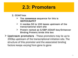 gene regulation sdk 2013 | PPT | Chemistry | Science