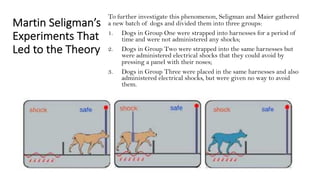 PSY101 Week 9 learned helplessness | PDF