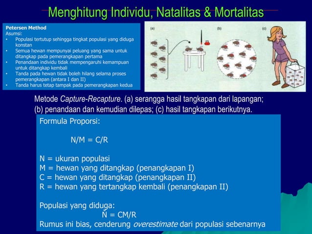 Week9 pertumbuhan populasi | PPTX