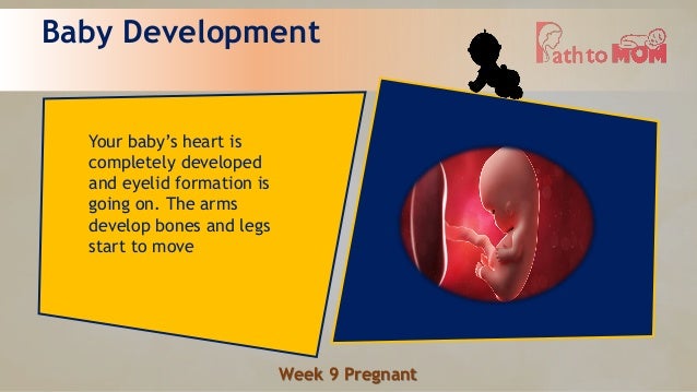 9 Weeks Pregnant | Pregnancy Week By Week | Pregnancy Stages & Fetal ...