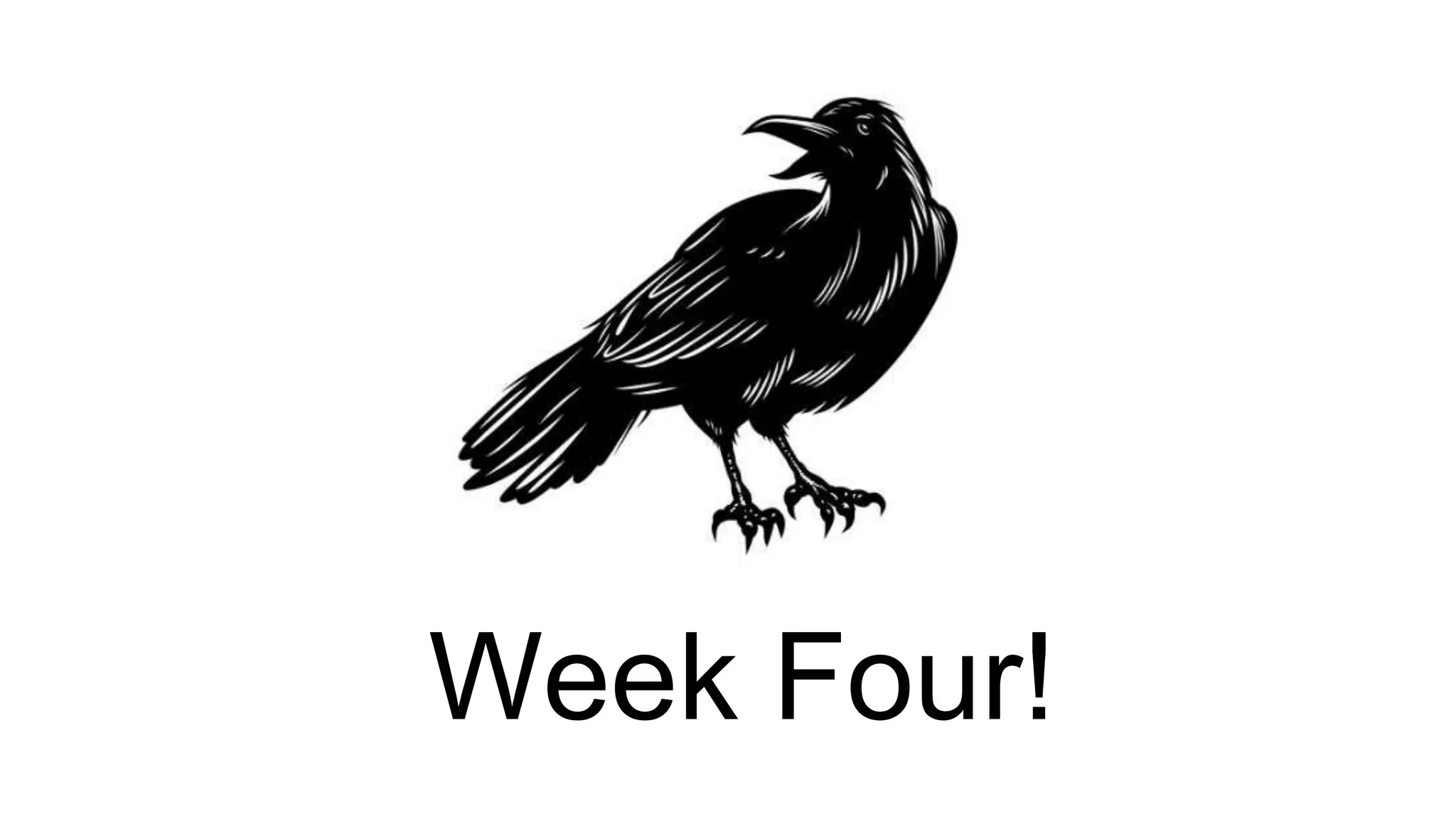 CROW! | PPTX