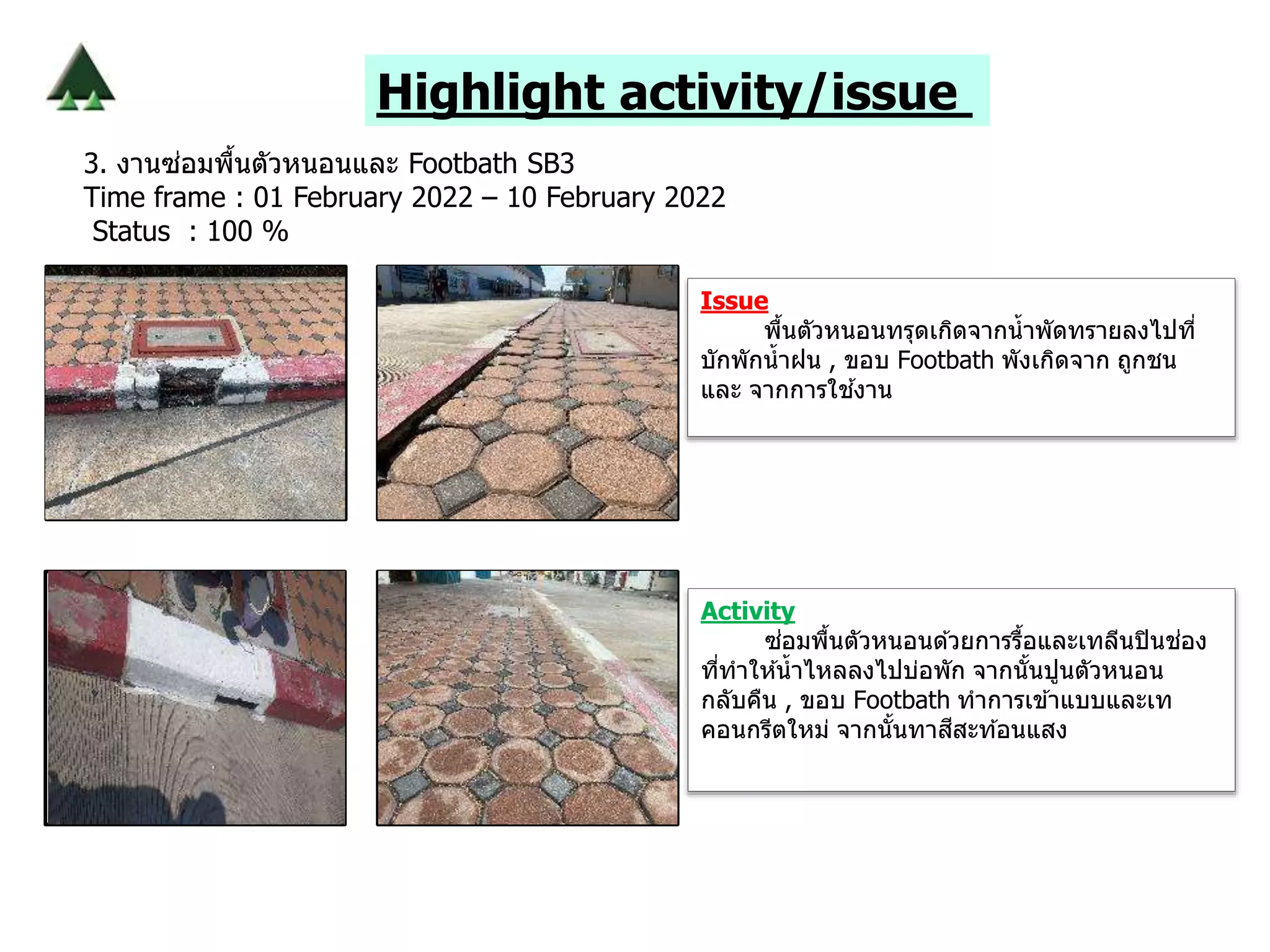 Weekly 5_Plant project.ppt