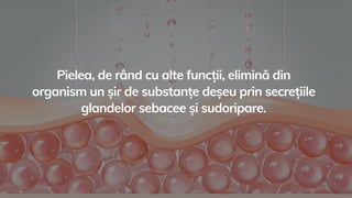 Sistemul excretor la om, biologie clasa 11 | PDF