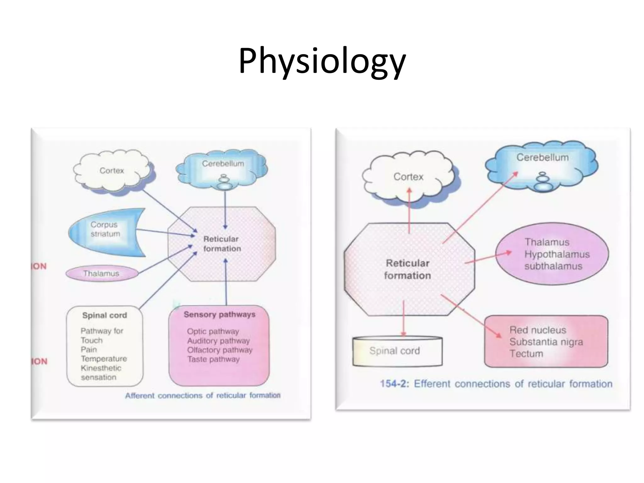 Week objective 3 | PPTX | Brain and Nervous System Disorders | Diseases and Conditions