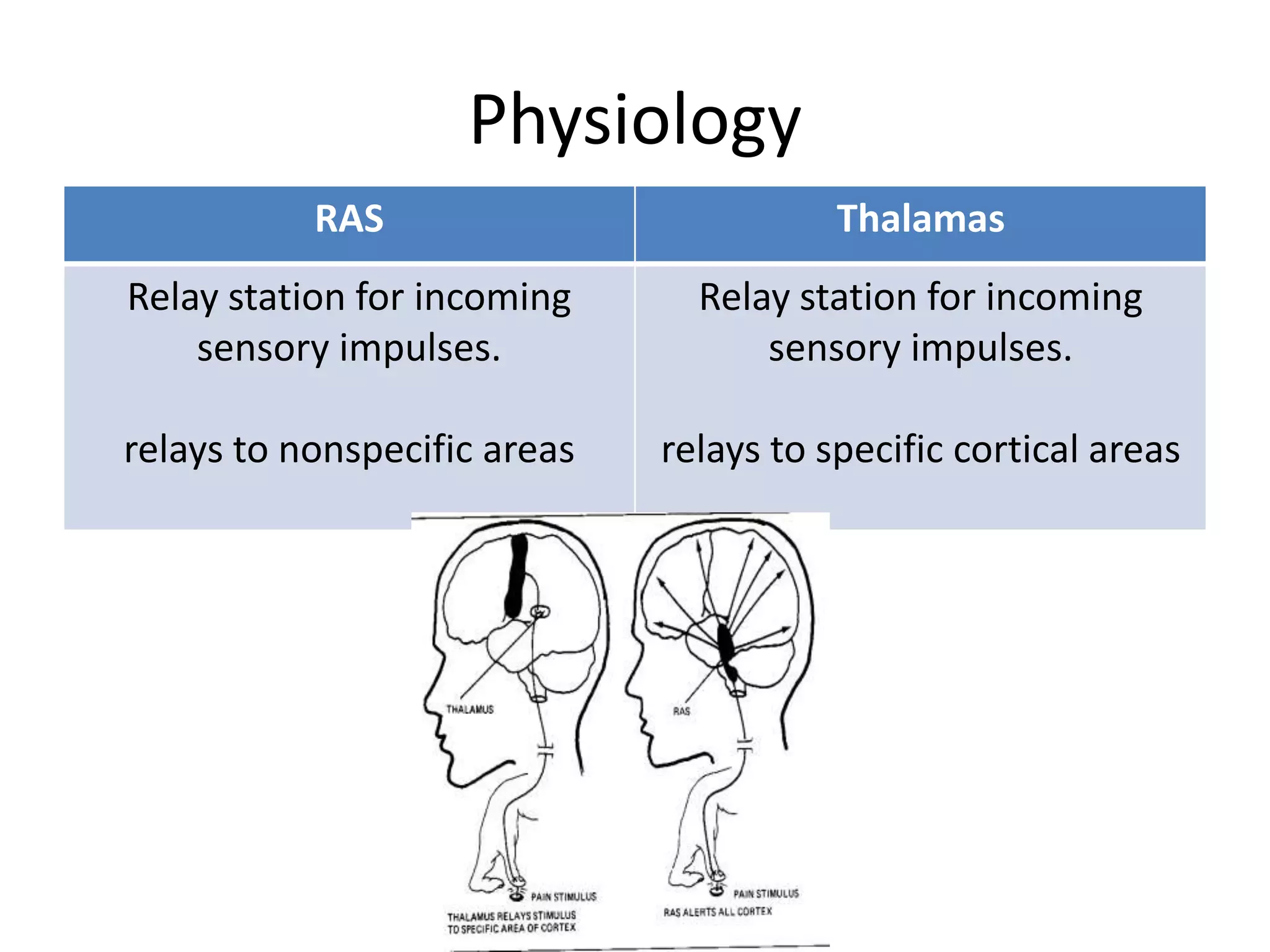 Week objective 3 | PPTX | Brain and Nervous System Disorders | Diseases and Conditions