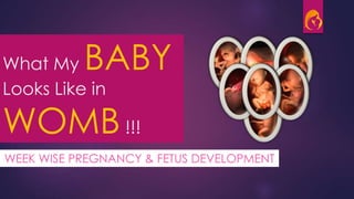 Week Wise Pregnancy and Fetus Development | PPTX