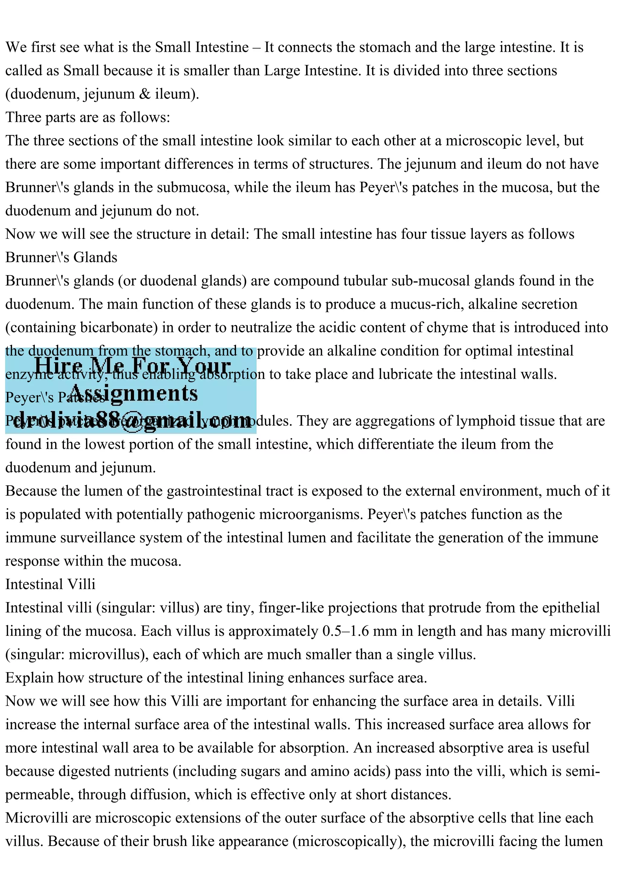 We first see what is the Small Intestine – It connects the stomach a.pdf