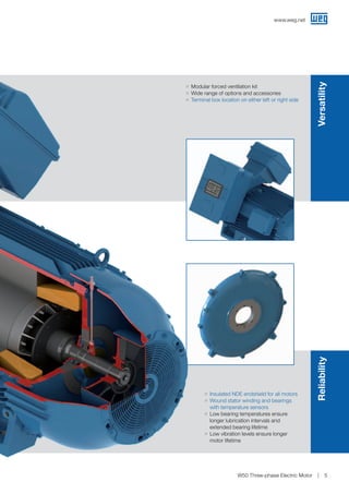 Weg w50-three-phase-electric-motor-commercial-catalogue-european-market ...
