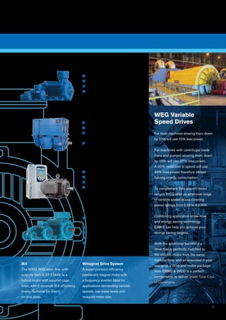 The Complete Motor Solution - WEG and ERIKS | PDF