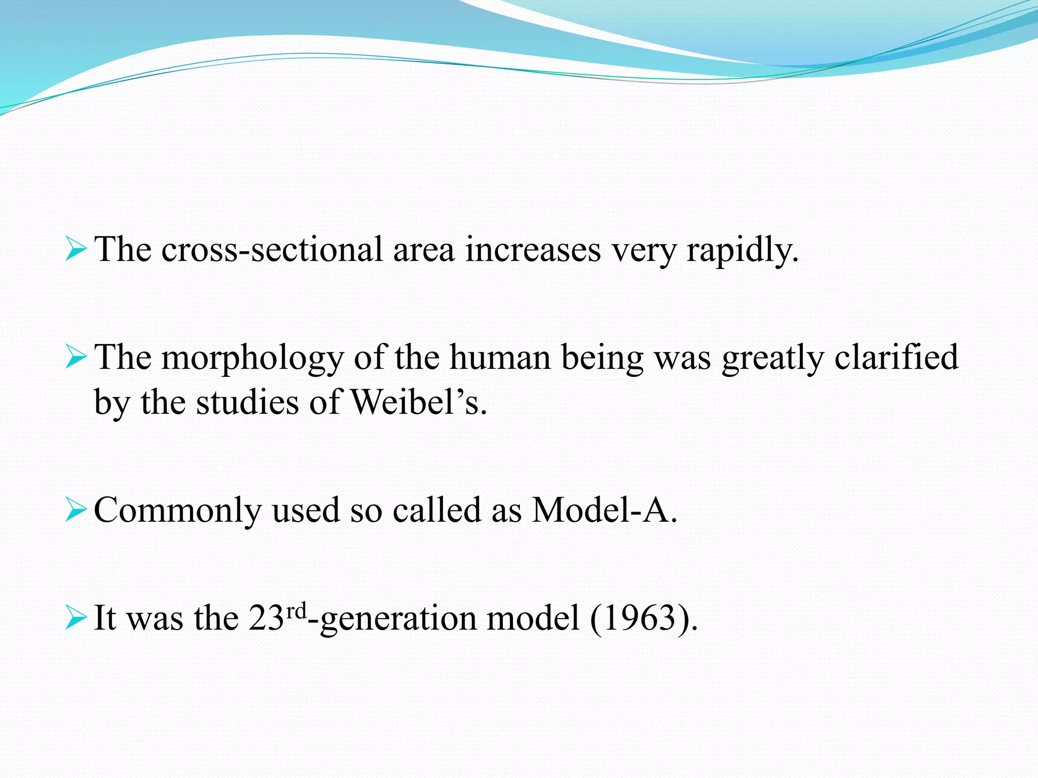 Weibel’s model of airways | PPTX