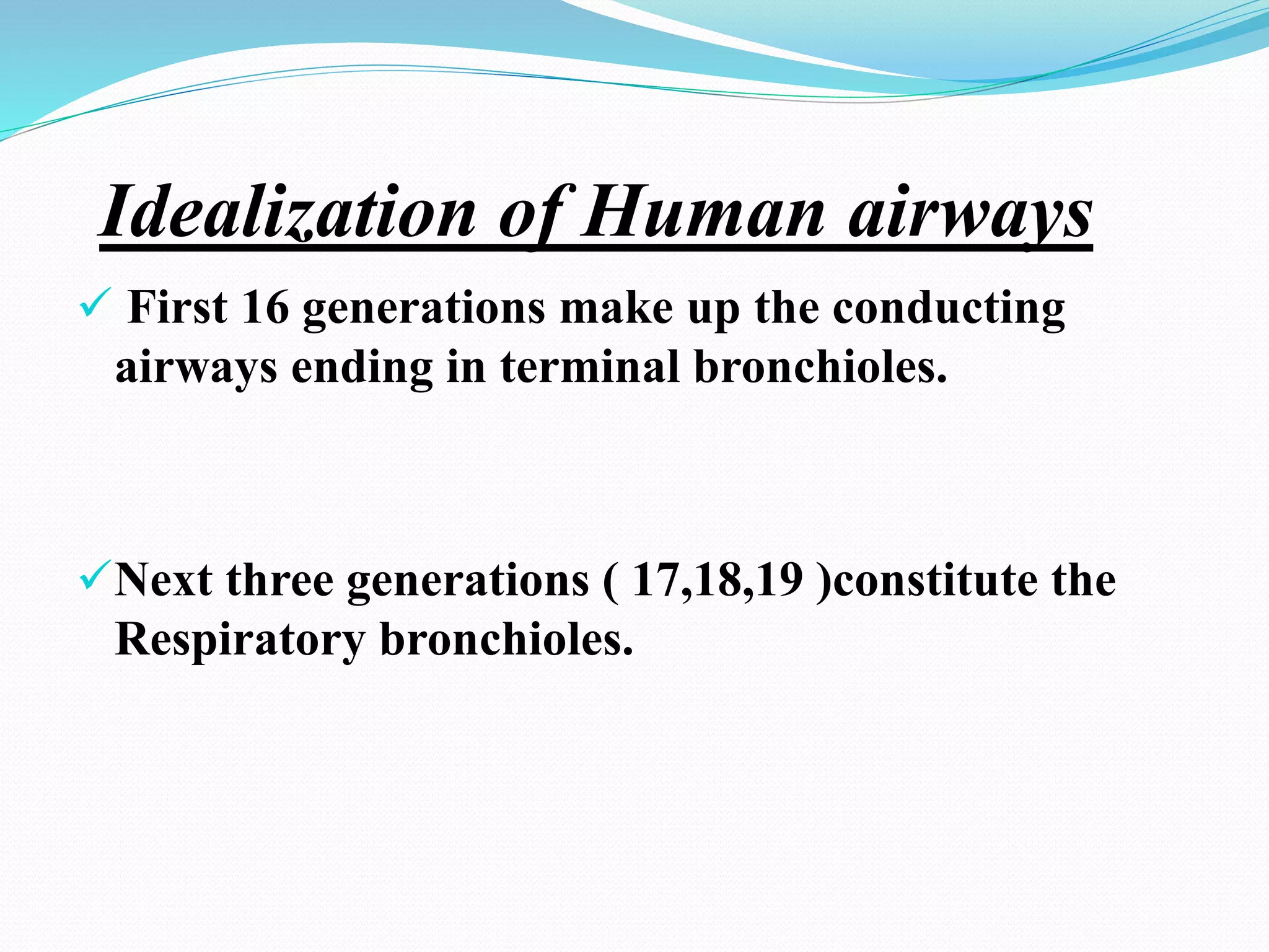 Weibel’s model of airways | PPTX