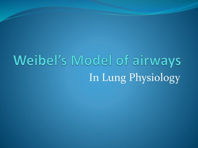 Weibel’s model of airways | PPTX | Lung and Respiratory Health ...