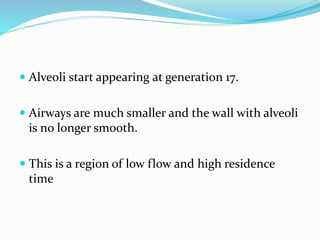 Weibel’s model of airways | PPTX