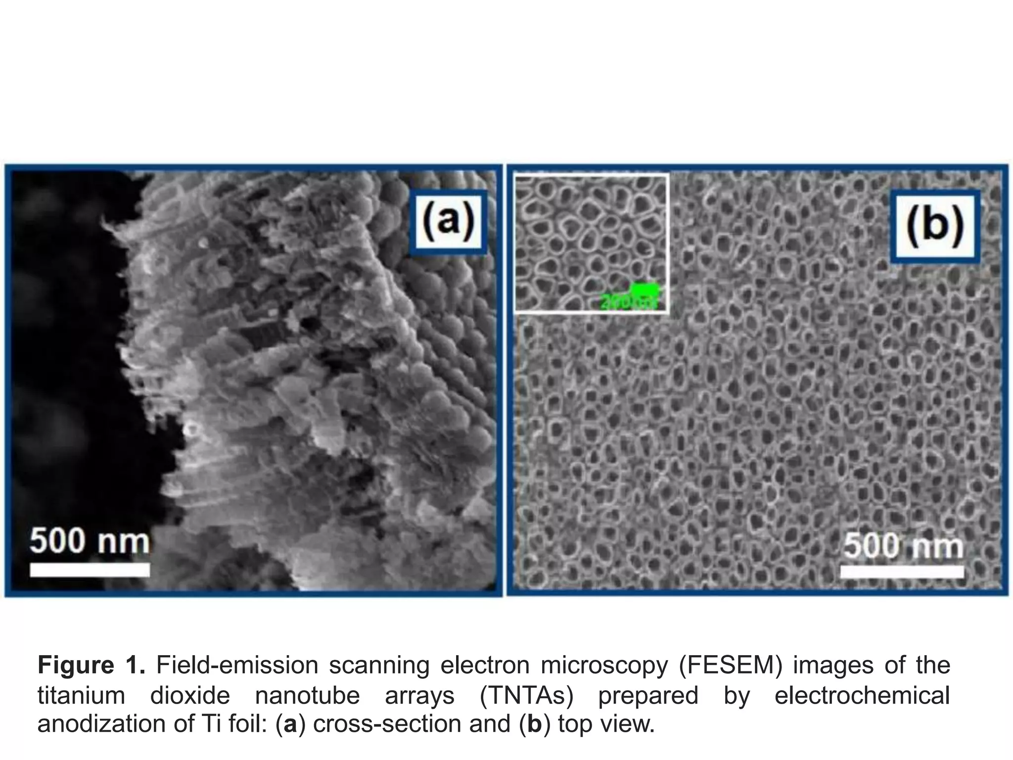 Resistance of Superhydrophobic Surface-Functionalized TiO2 Nanotubes to ...