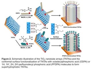 Resistance of Superhydrophobic Surface-Functionalized TiO2 Nanotubes to ...
