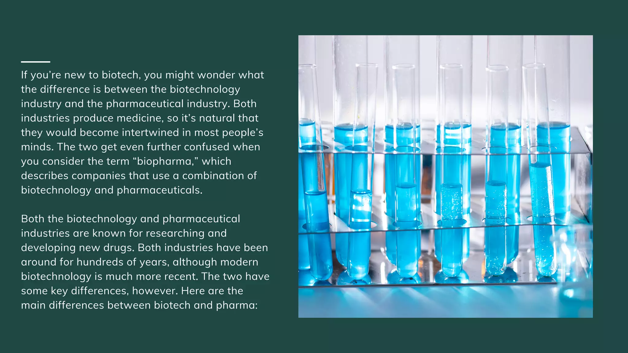 The Difference Between Biotech and Pharma | PDF