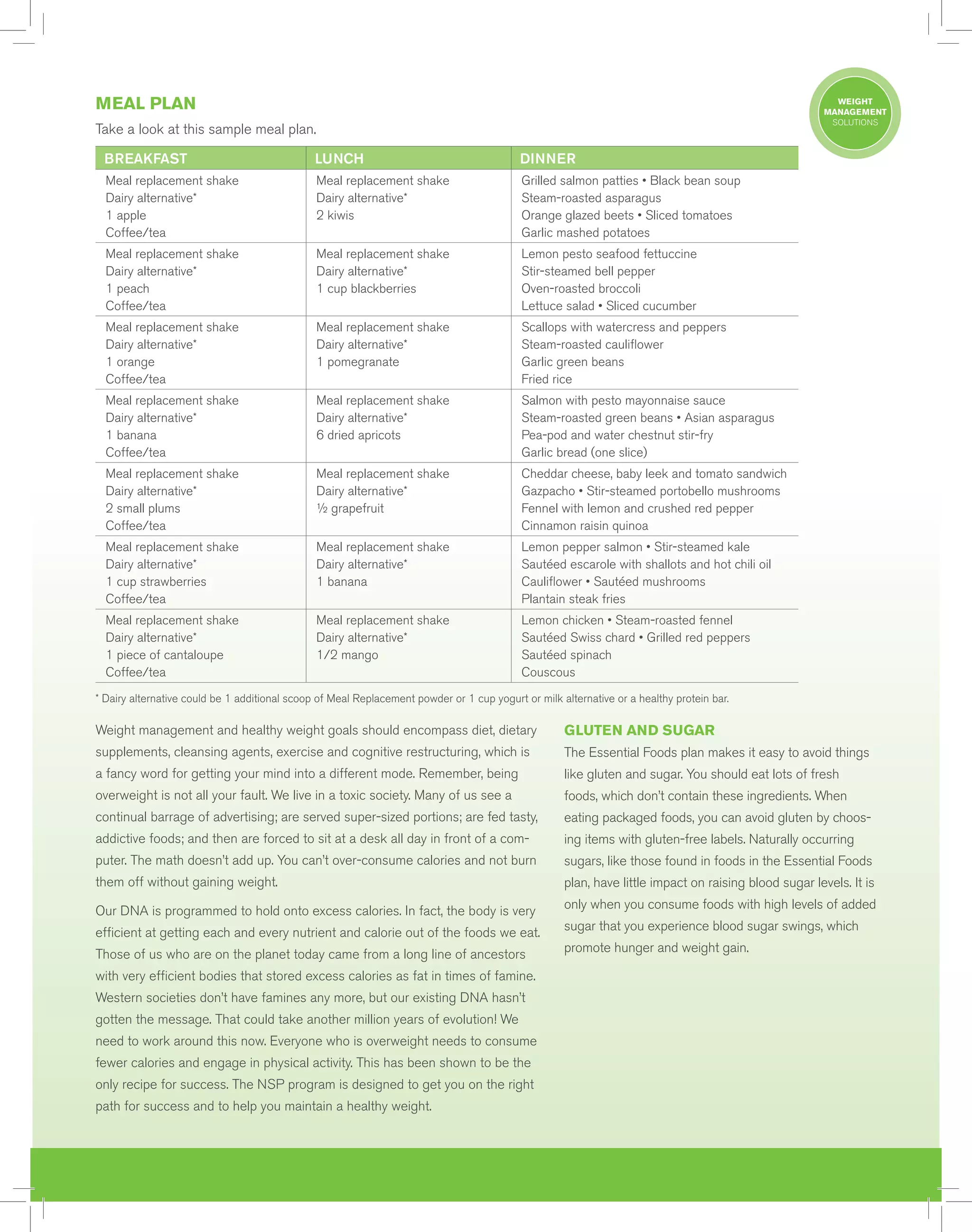 Essential Food Plan | PDF