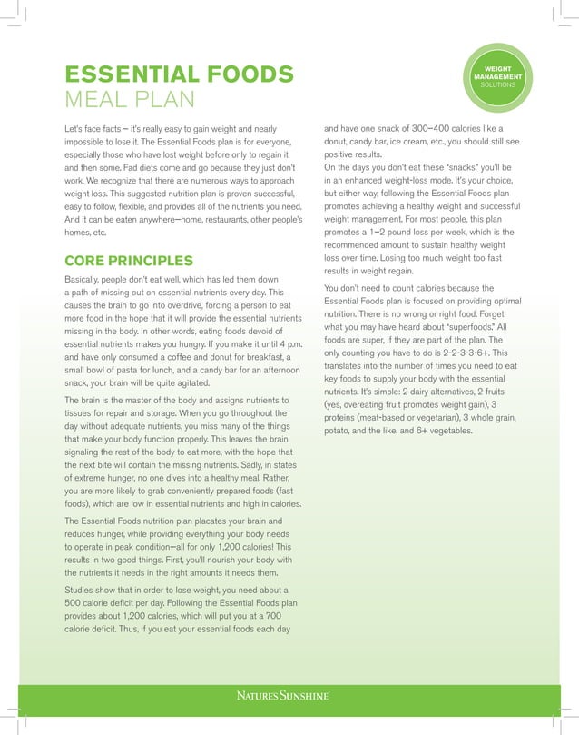 Essential Food Plan | PDF