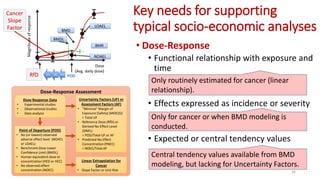 Chemical Risk Assessment and Translation to Socio-Economic Assessments ...