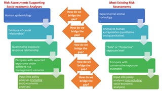 Chemical Risk Assessment and Translation to Socio-Economic Assessments ...