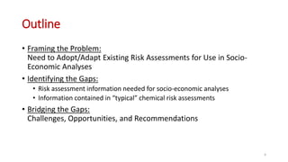 Chemical Risk Assessment and Translation to Socio-Economic Assessments ...